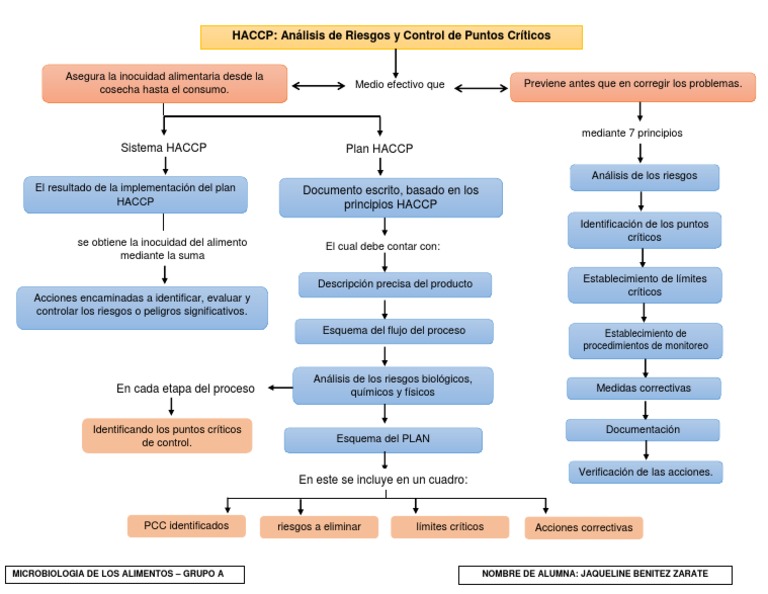 Mapa Conceptual | Análisis de Riesgo y Puntos Críticos de Control ...