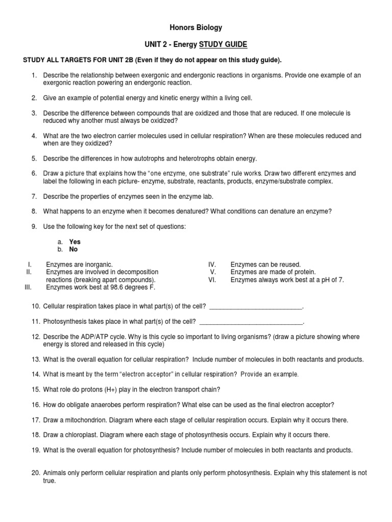 Honors Biology Unit 2 - Energy Study Guide | PDF | Cellular Respiration ...