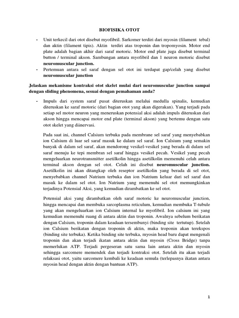 Biofisika Otot | PDF