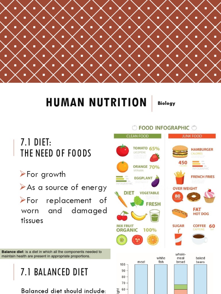 Human Nutrition: Biology | PDF | Digestion | Gastrointestinal Tract