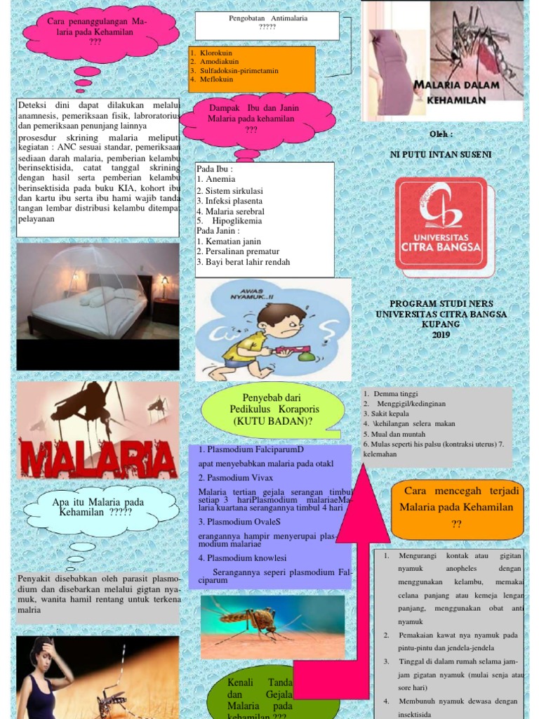 Penanggulangan Malaria pada Ibu Hamil | PDF