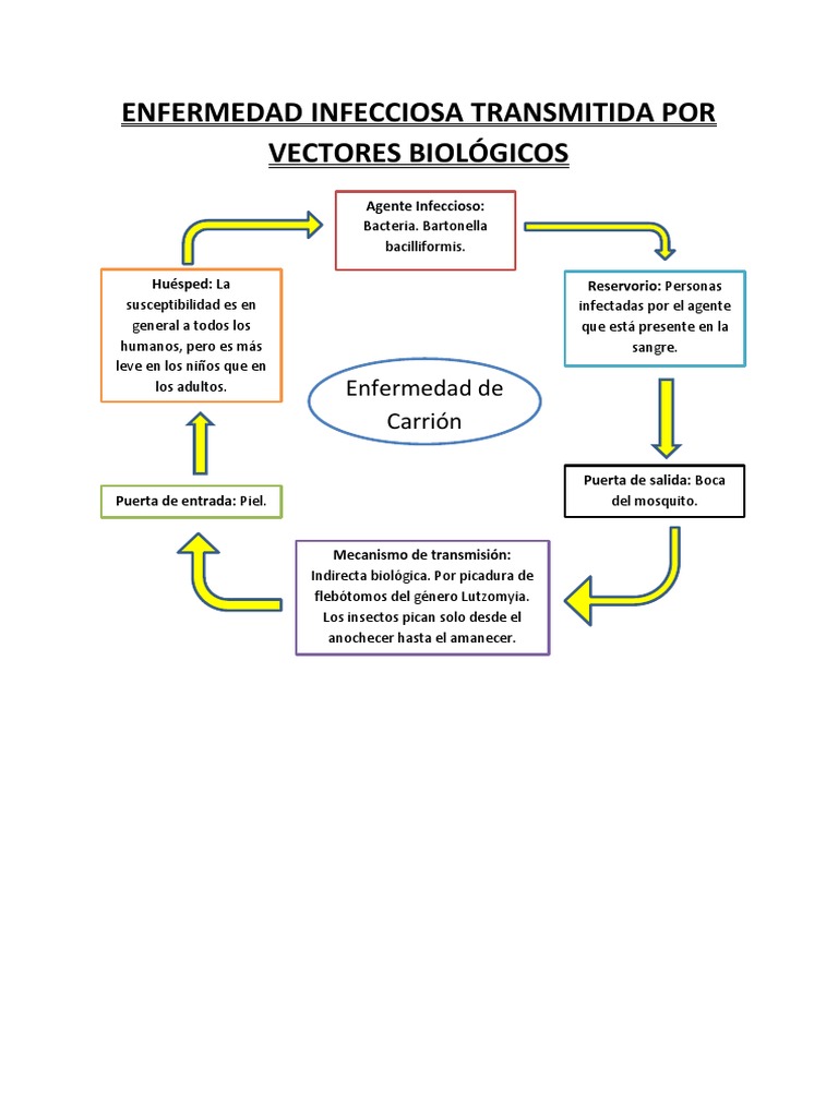 Enfermedad de Carrión | PDF | Medicina Veterinaria | Enfermedades animales