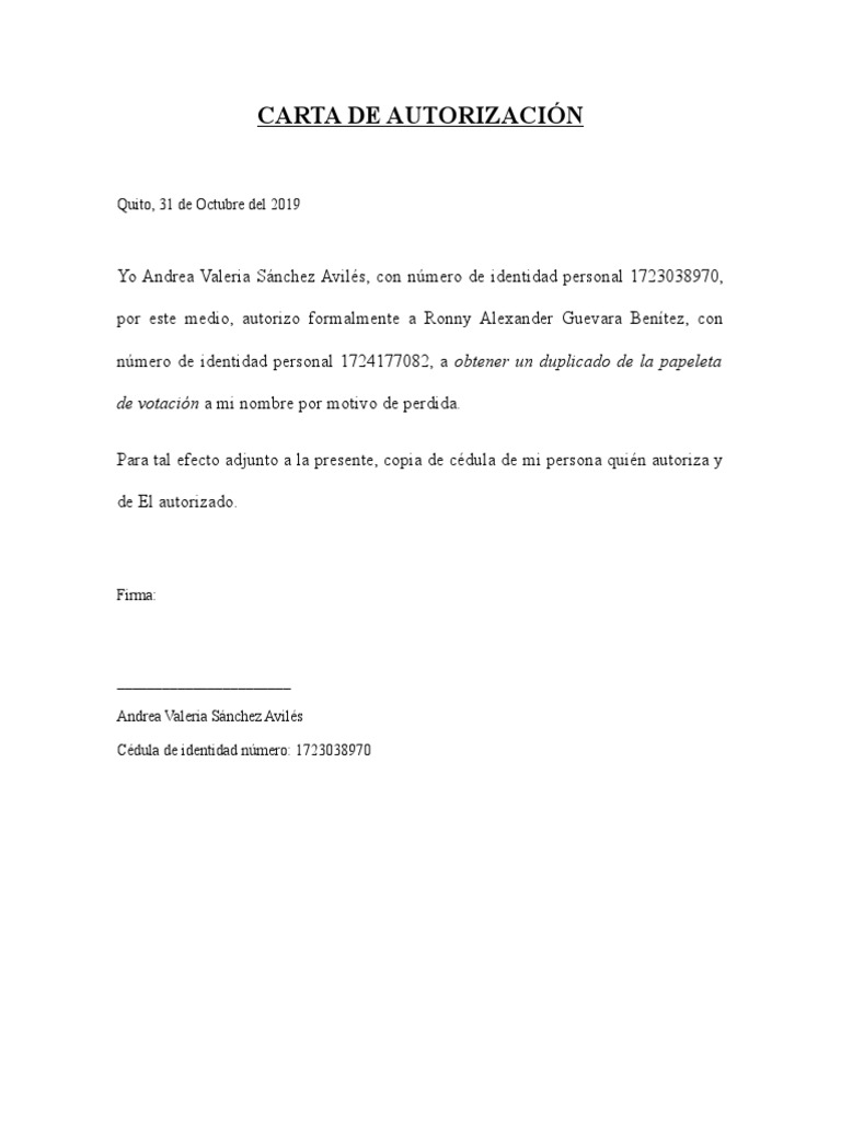 Carta Autorizacion Cne | PDF