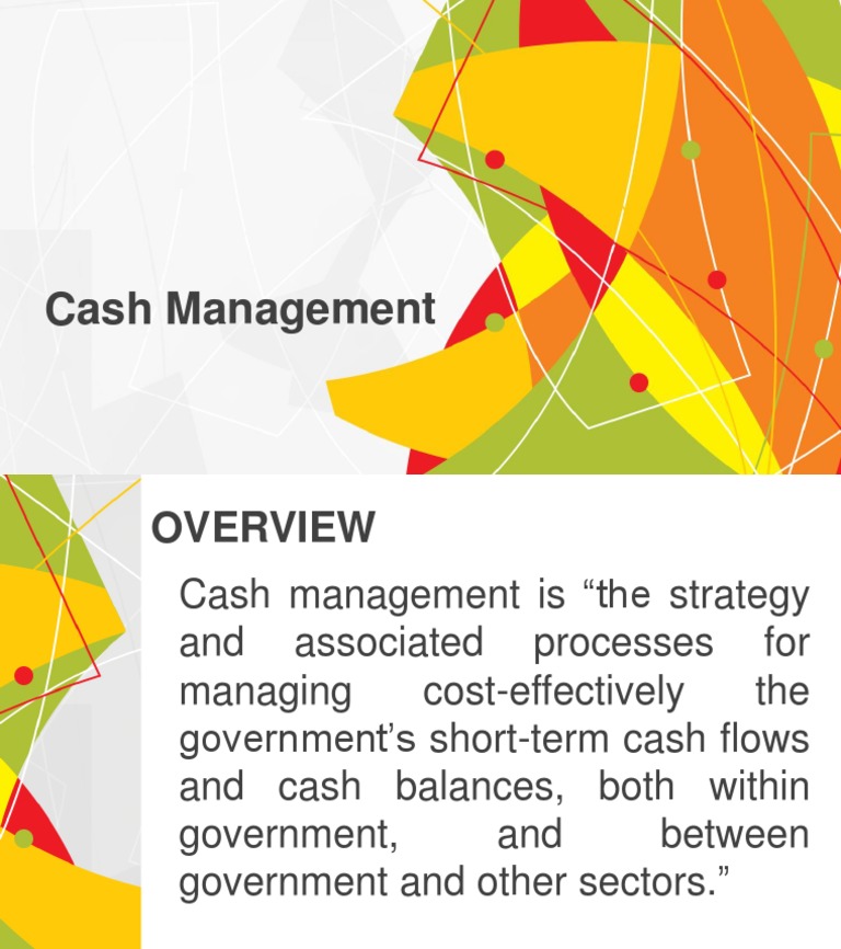 Cash Management Report Sample | PDF