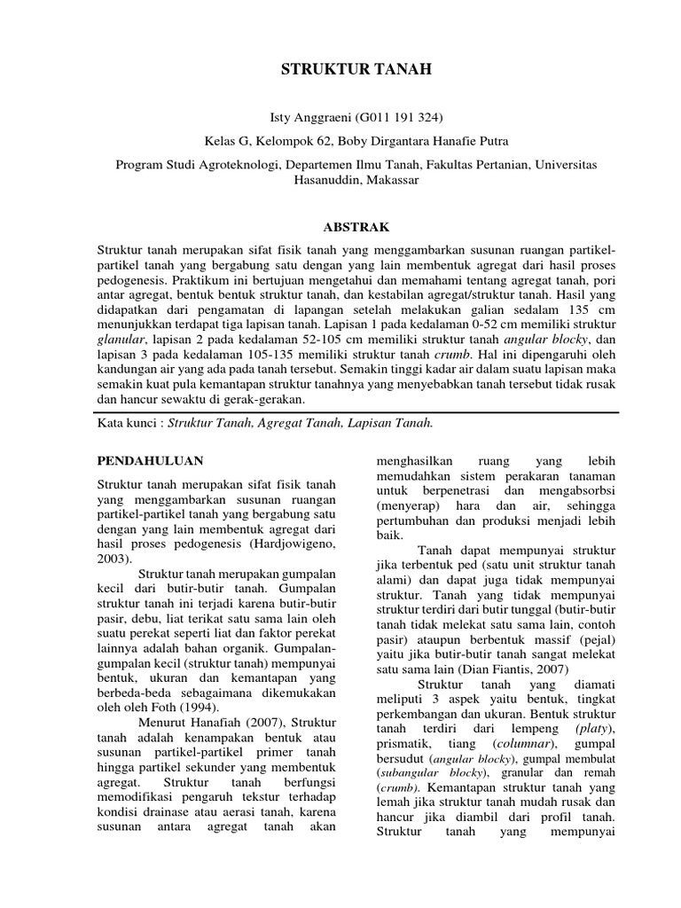 Struktur Tanah | PDF