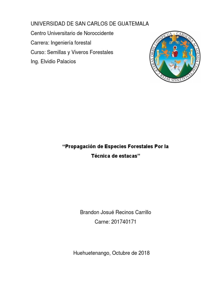 Tecnica de Propagacion Por Estacas | PDF | Tallo de la planta | Hoja