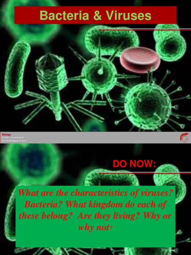 Bacteria Vs Viruses PPT 2019 | PDF | Virus | Antiviral Drug