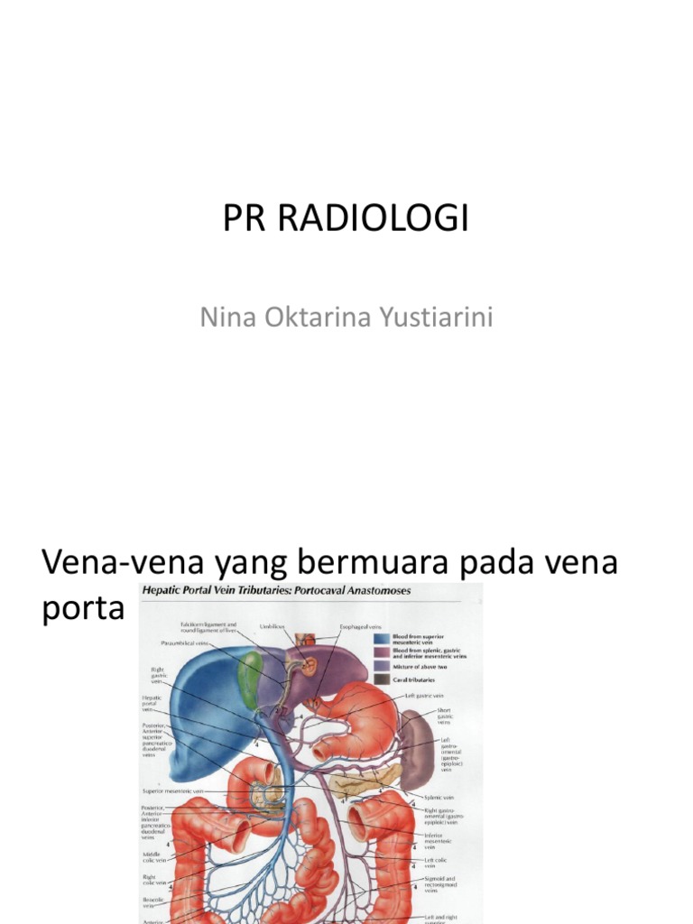 Vena Porta | PDF