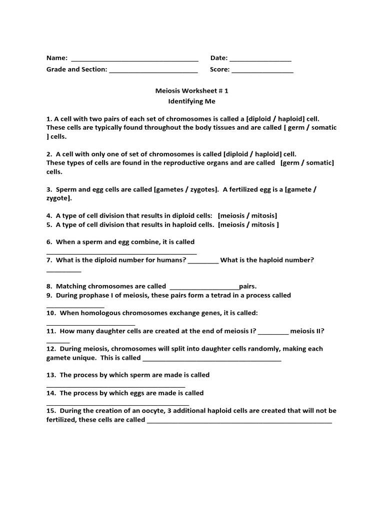 Worksheet in Mitosis and Meiosis | PDF | Ploidy | Meiosis