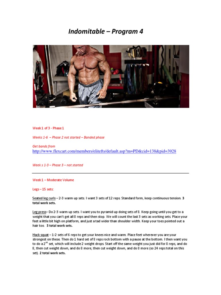 John Meadows Program 4 Indomitable PDF | PDF | Anatomical Terms Of ...