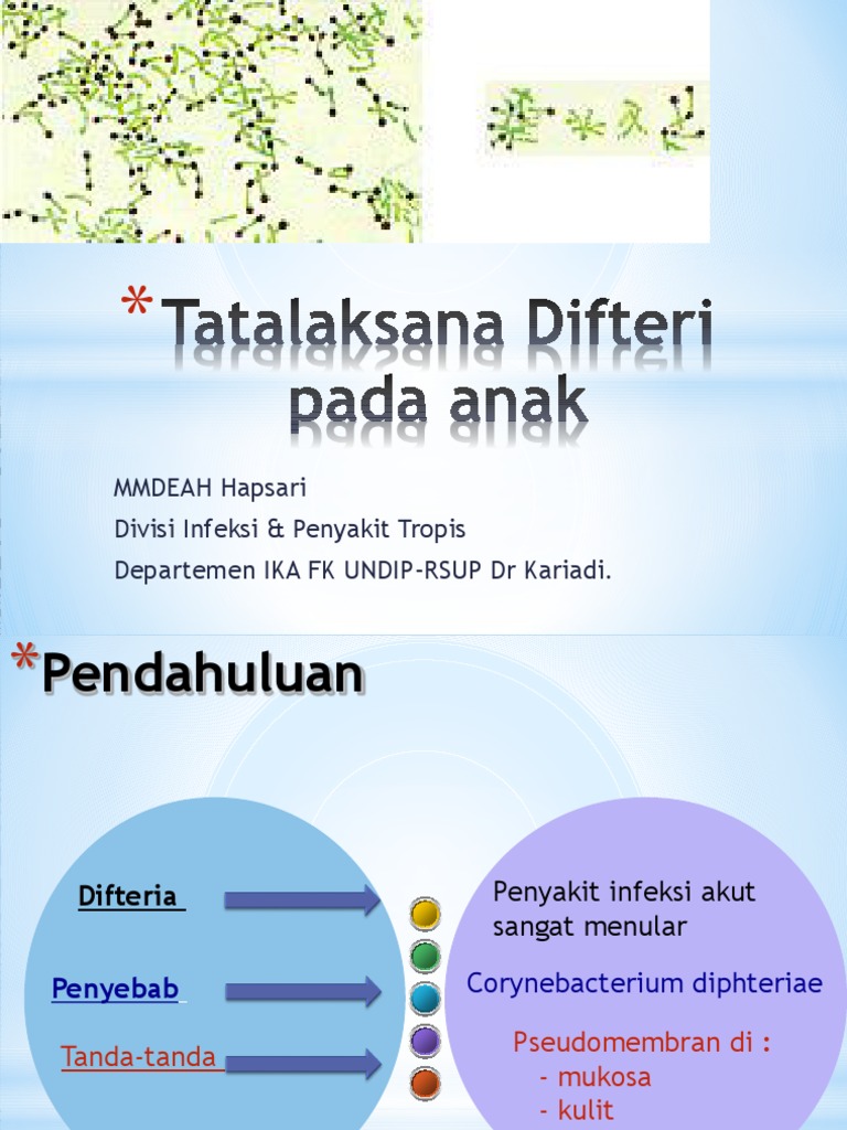 Tatalaksana Difteri Pada Anak | PDF