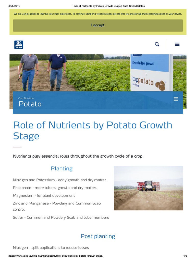 Role of Nutrients by Potato Growth Stage | PDF