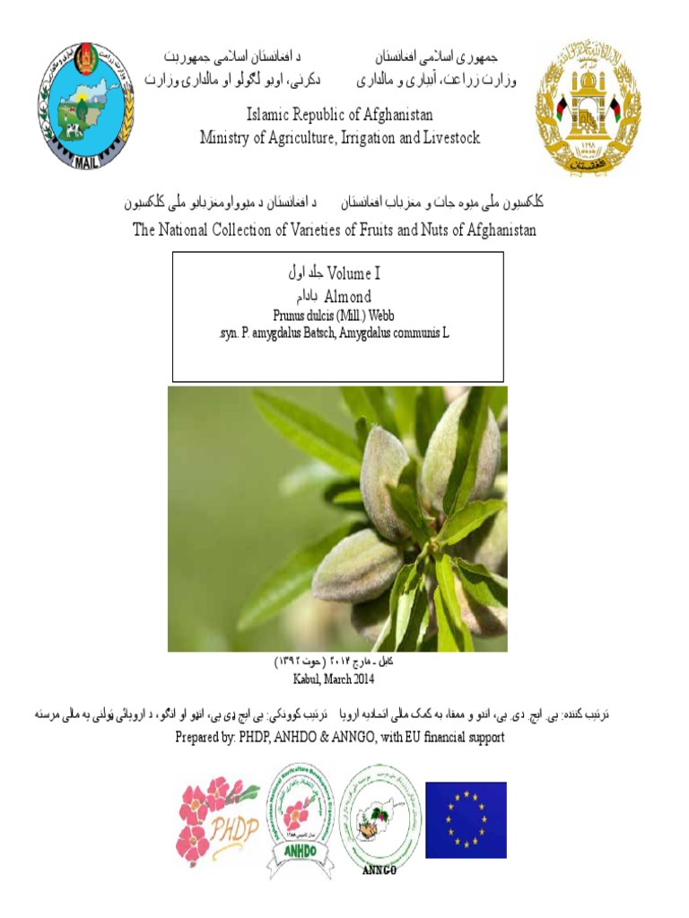 Almond National Register | PDF