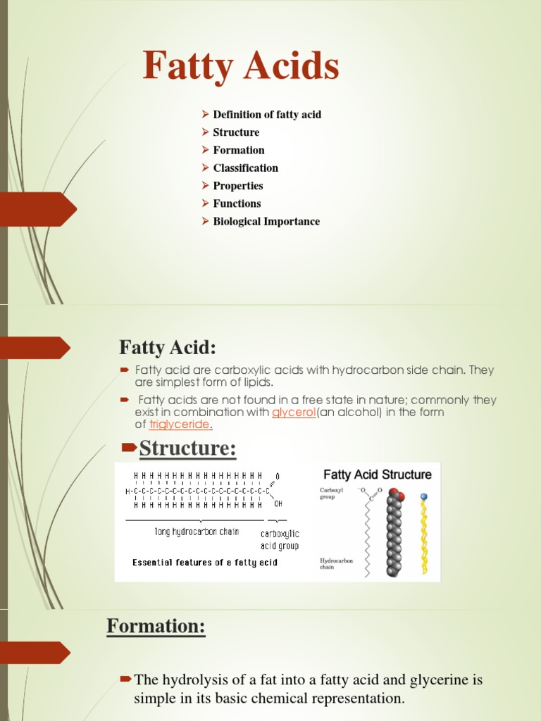 Fatty Acids: Definition of Fatty Acid Structure Formation ...