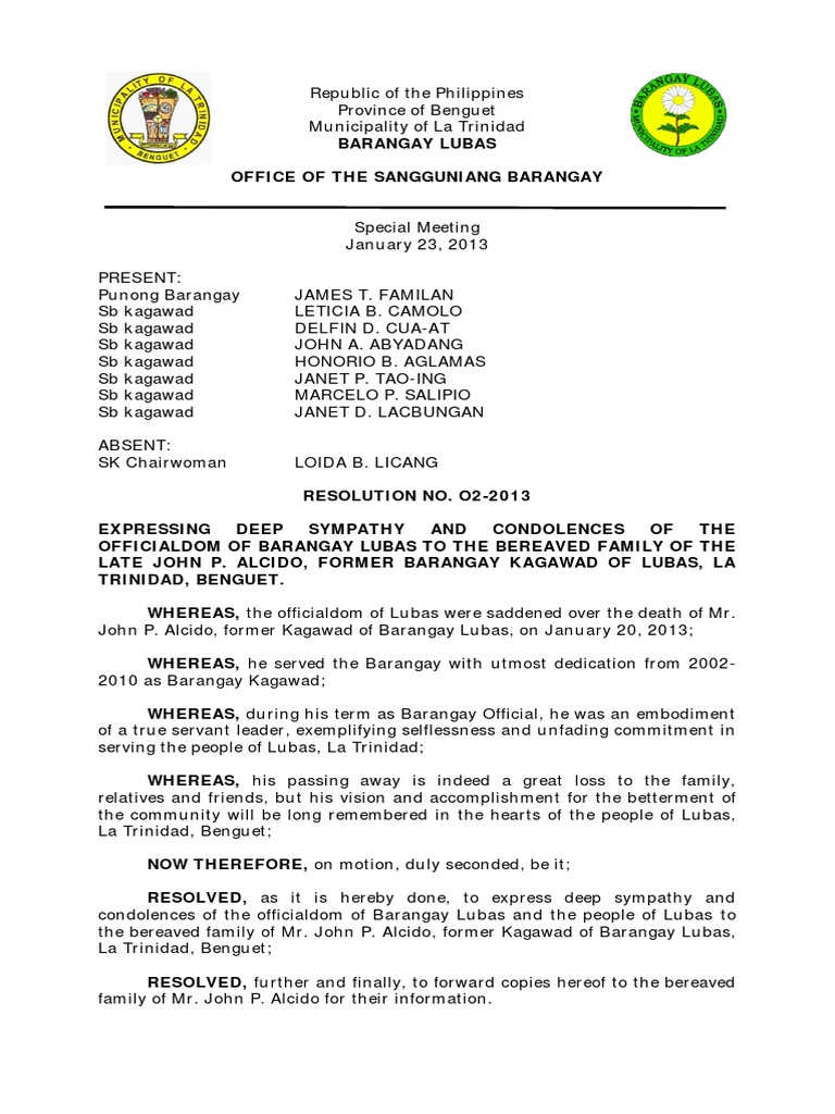 Resolution | PDF | Government