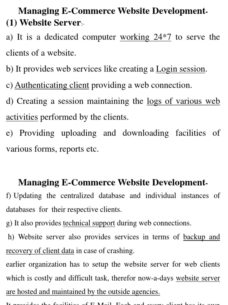 Managing E-Commerce Website Development | PDF | Websites | Mobile Phones