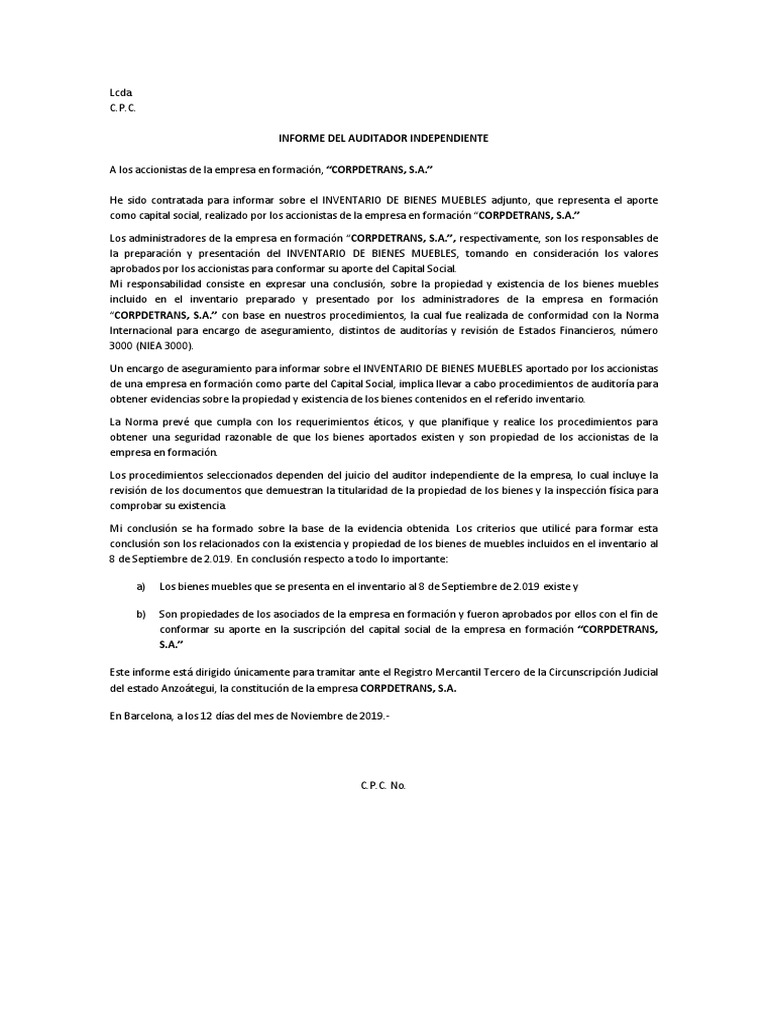 Informe de Inventario NIEA 3000 1 | PDF | Instituciones sociales ...