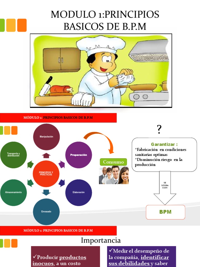 Modulo 1 Principios Basicos de BPM | PDF | Alimentos | Contaminación