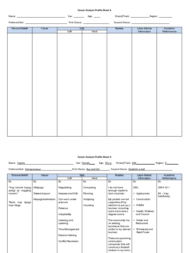 Career Analysis Profile Sheet A | PDF | Cognition | Psychological Concepts