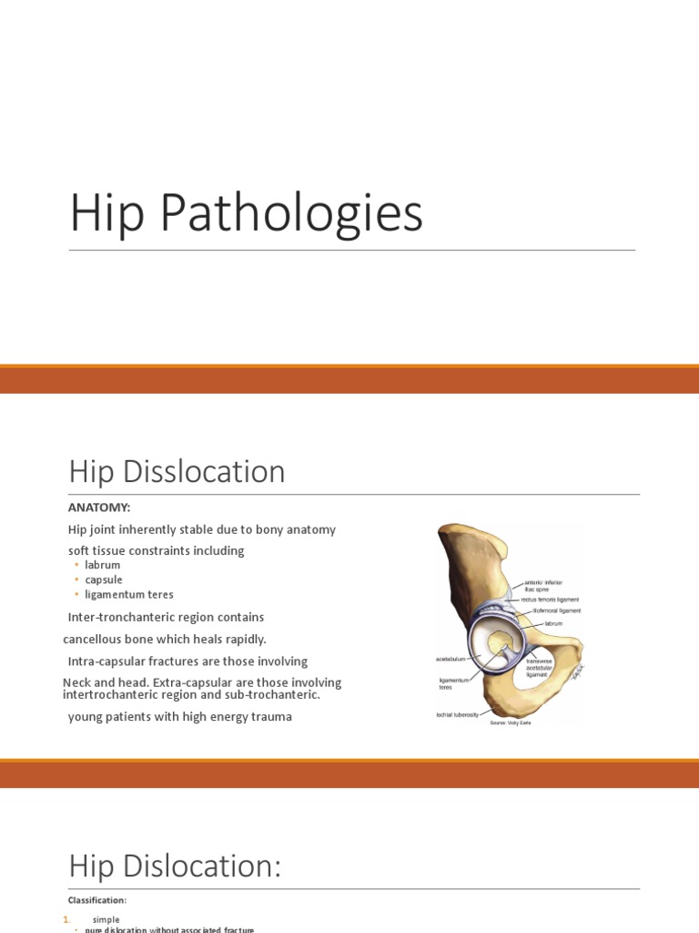 Hip Pathologies | Download Free PDF | Hip | Clinical Medicine