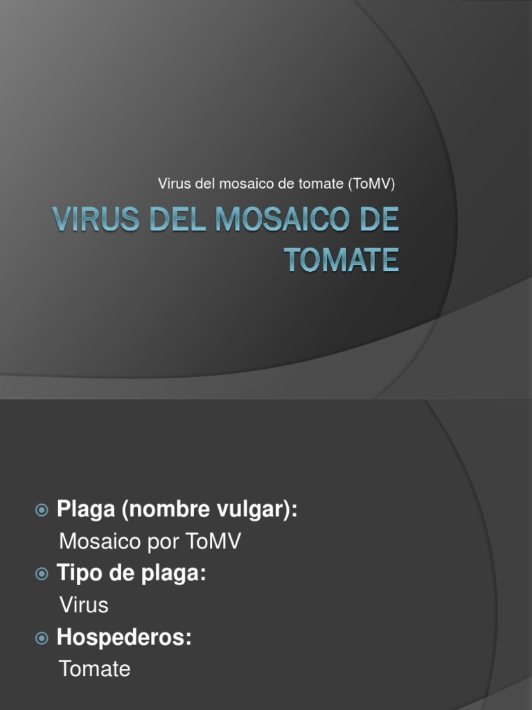 Virus del mosaico del tomate (ToMV) | PDF