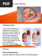 Oral Assessment and Care PDF | PDF | Oral Hygiene | Dentistry