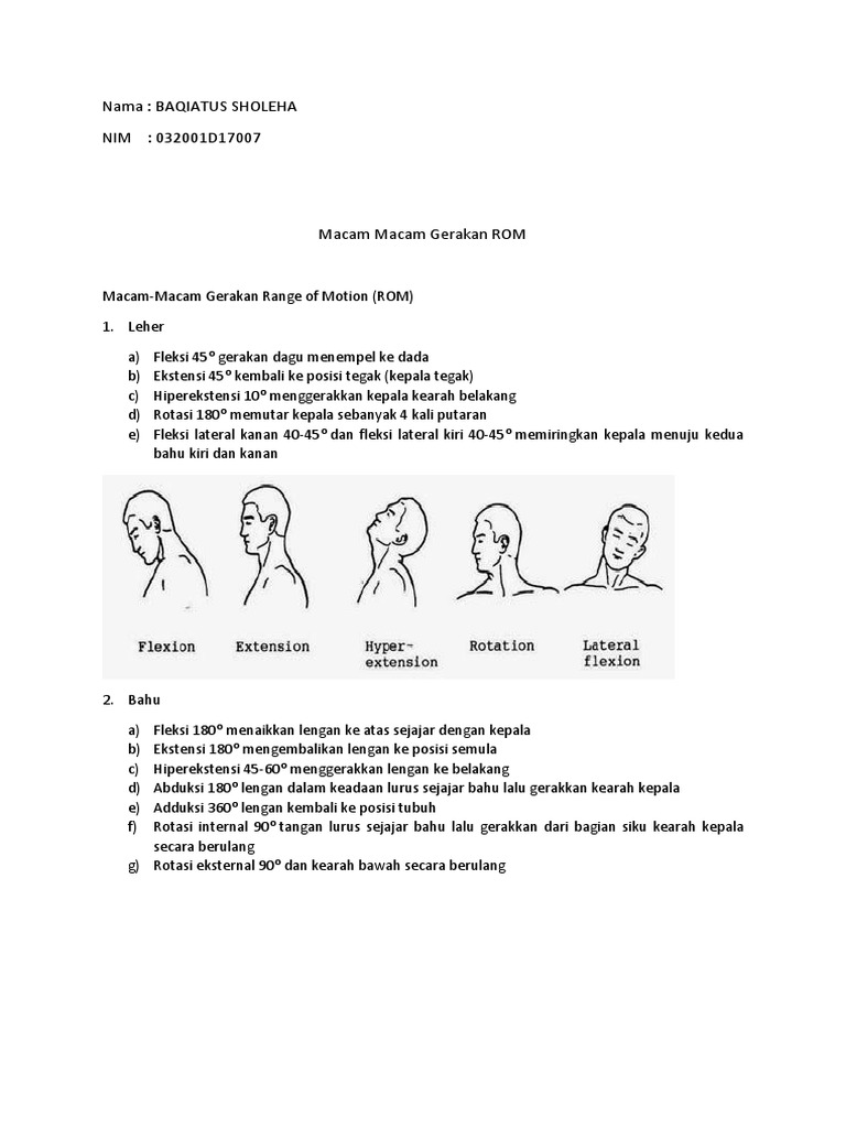 Leaflet Rom Pasif | PDF