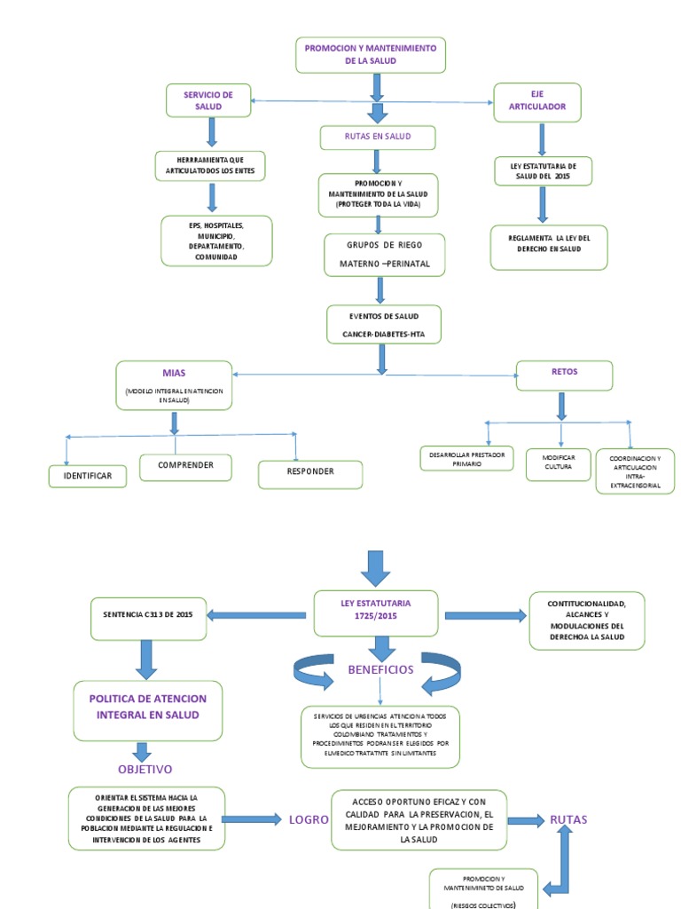 Mapa Conceptual Curso Virtual | PDF | Bienestar | Medicina