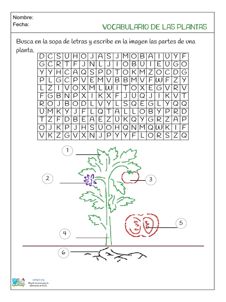 Vocabulario-De-Las-Plantas SOPA DE LETRAS CIENCIAS NATURALES PDF | PDF
