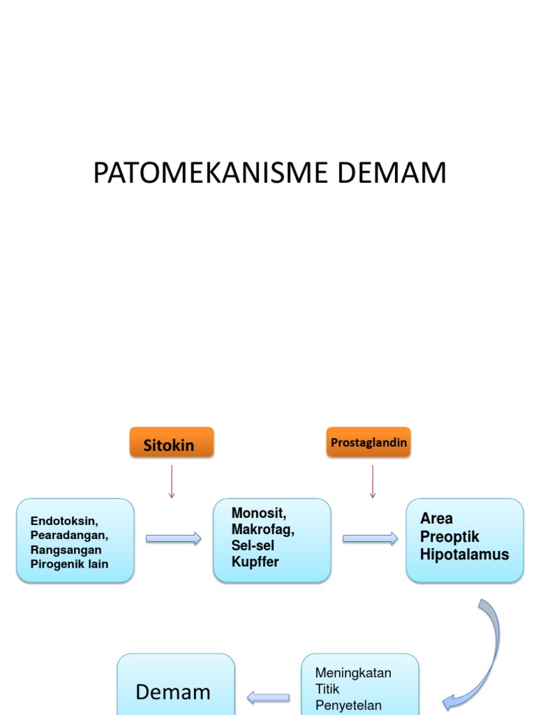 Patomekanisme Demam | PDF