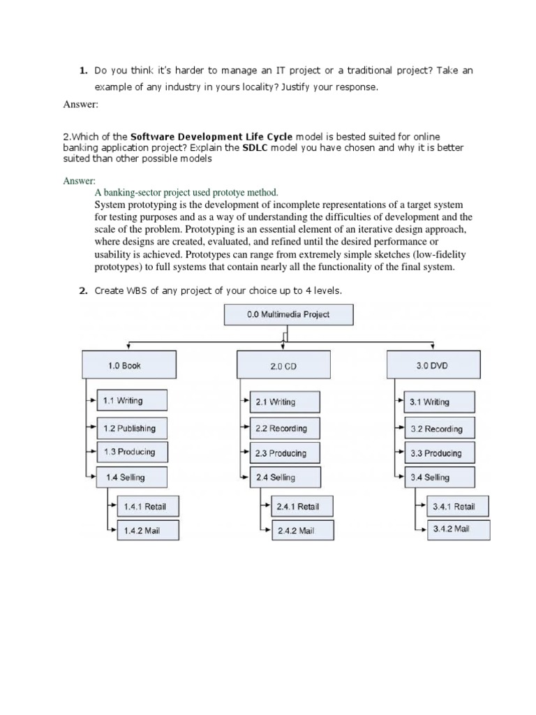 Answer: A Banking-Sector Project Used Prototye Method | PDF
