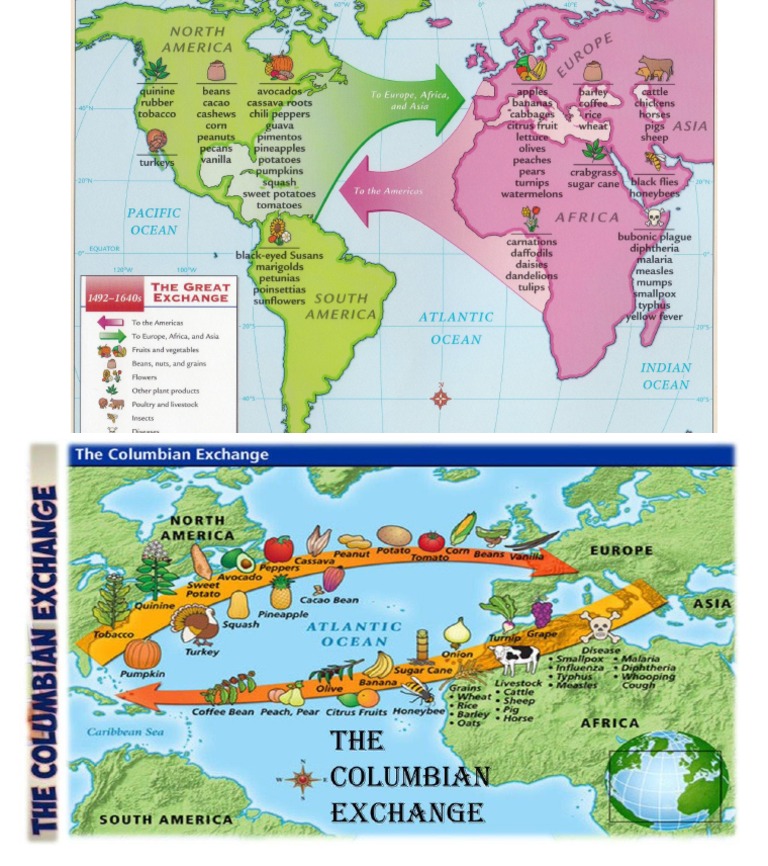 Columbian Exchange Maps | PDF