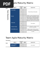 Agile Maturity Matrix Guide | PDF | Agile Software Development | Scrum ...
