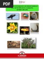 Flora y Fauna de Tabasco: Biodiversidad | PDF