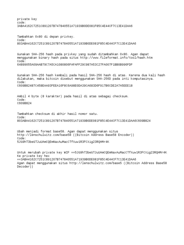 Panduan Singkan Convert Public Key Ke Format Key Hex Atau WIF | PDF