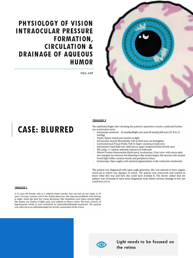 Physiology of Vision Intraocular Pressure Formation, Circulation ...