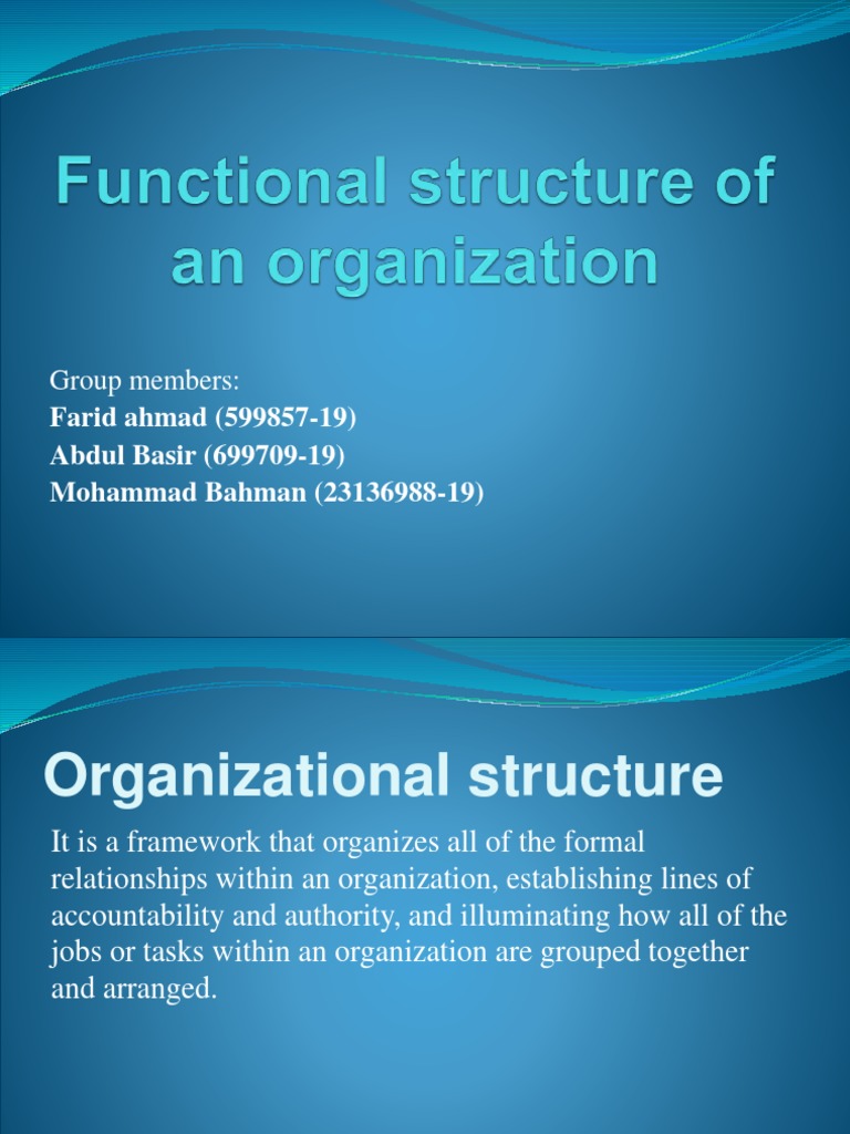 Functional Organization Structure | PDF | Organizational Structure ...
