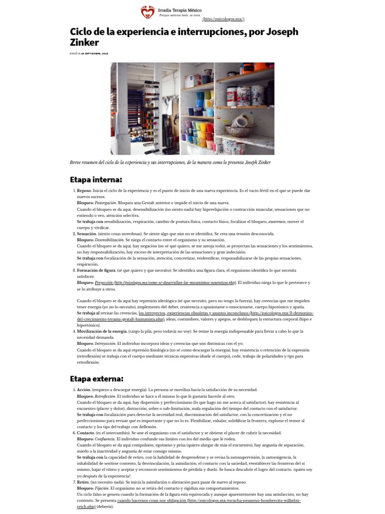 Ciclo de La Experiencia e Interrupciones, Por Joseph Zinker ...