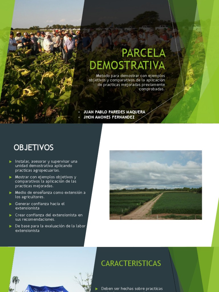 Parcelas Demostrativas Agrícolas: Guía Práctica | PDF | Agricultura ...