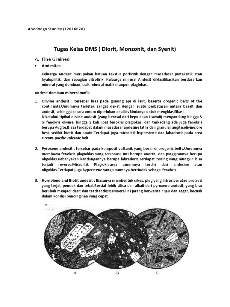 Keluarga Batuan Diorit Monzonit Syenit | PDF