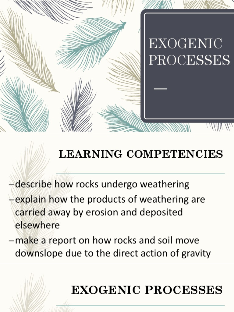 Exogenic Processes | PDF | Weathering | Erosion