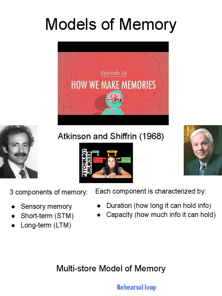 Models of Memory | PDF | Memory | Neuropsychology