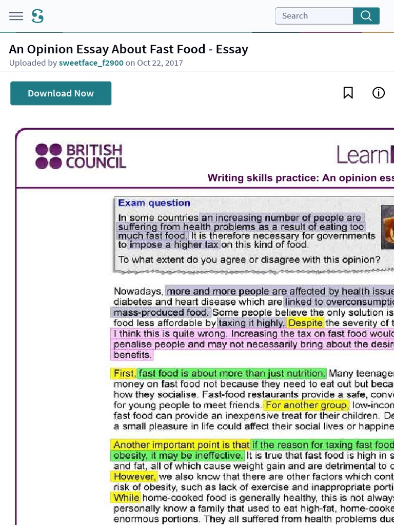 An Opinion Essay About Fast Food - Essay