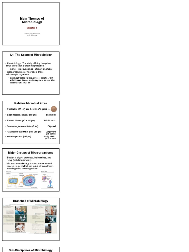 Chapt01 Notes Q PDF | PDF | Microorganism | Microbiology