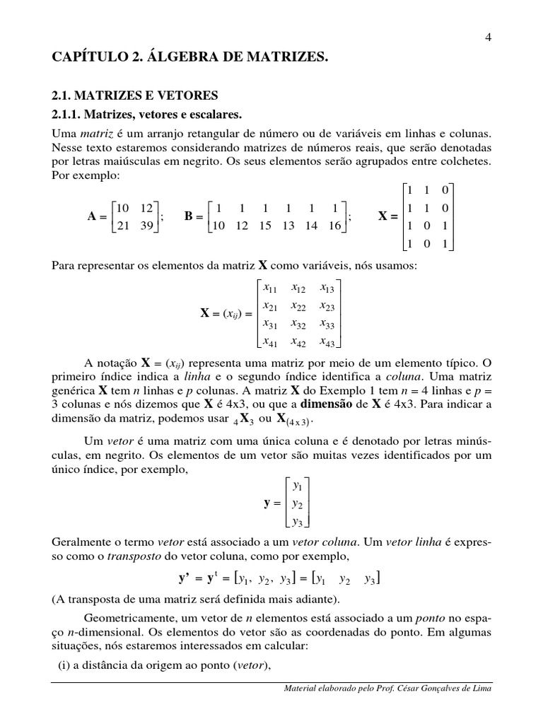 Álgebra de Matrizes | PDF | Matriz (Matemática) | Mapa linear