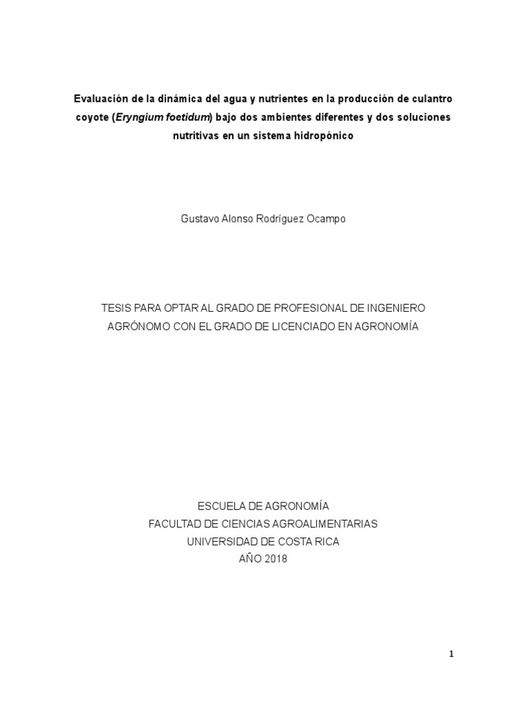 Cilantro Ancho | PDF | Agricultura | Hidroponia