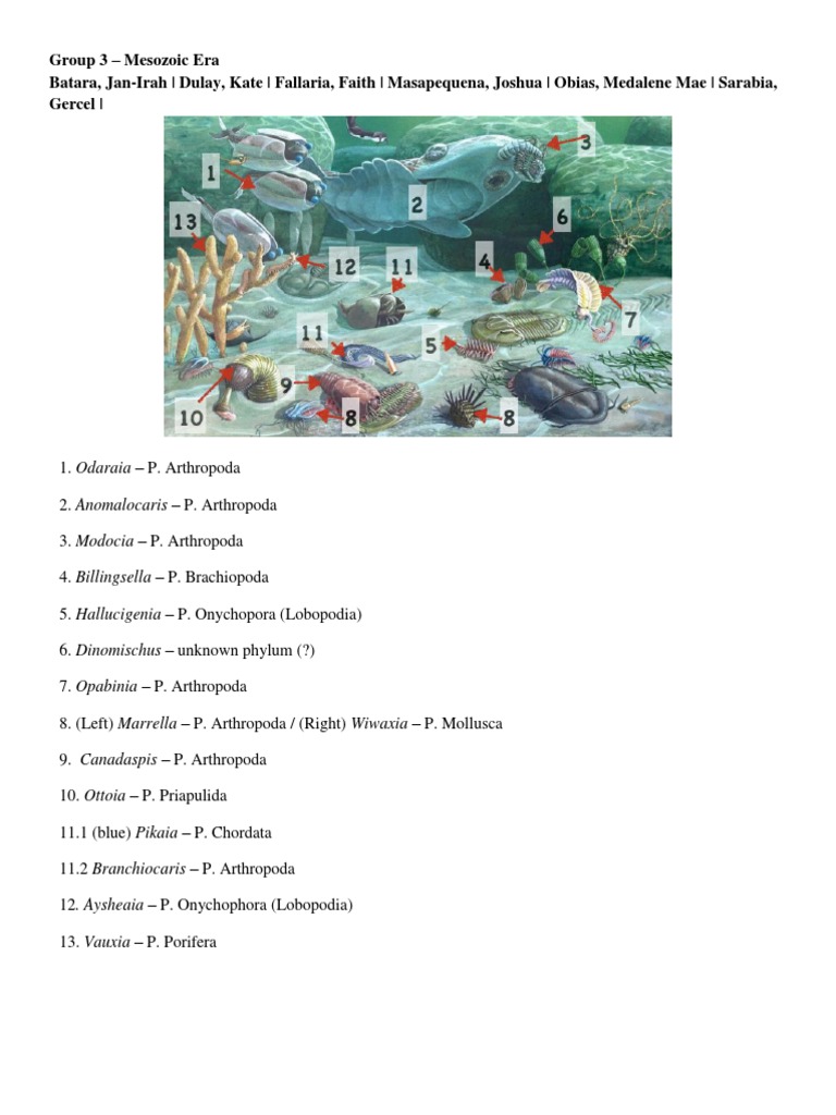 Mesozoic Era Marine Life Overview | PDF | Science & Mathematics