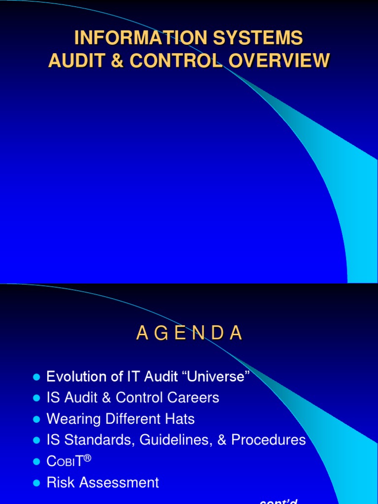 Audit Sistem Informasi | PDF | Computing | Information Technology