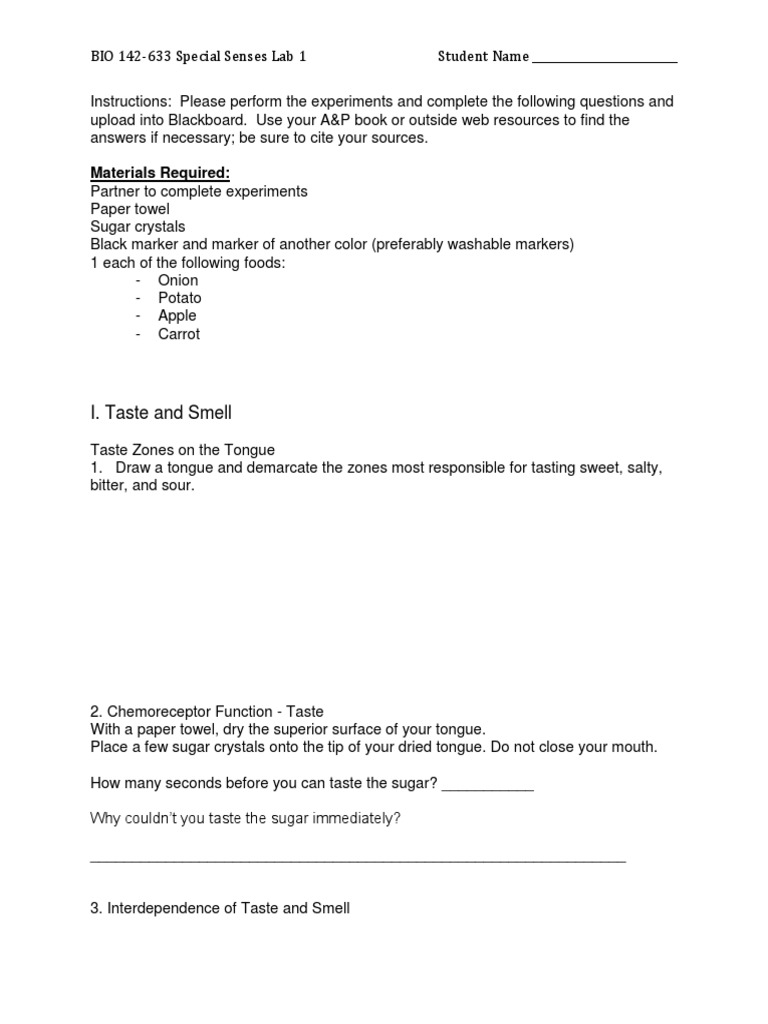 Special Senses Lab: Taste and Touch Experiments | PDF | Taste | Foods