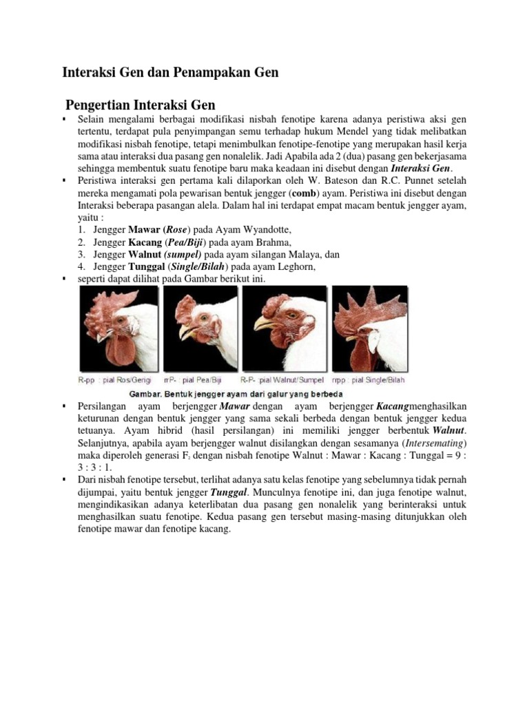 Makalah Jilid 2 | PDF